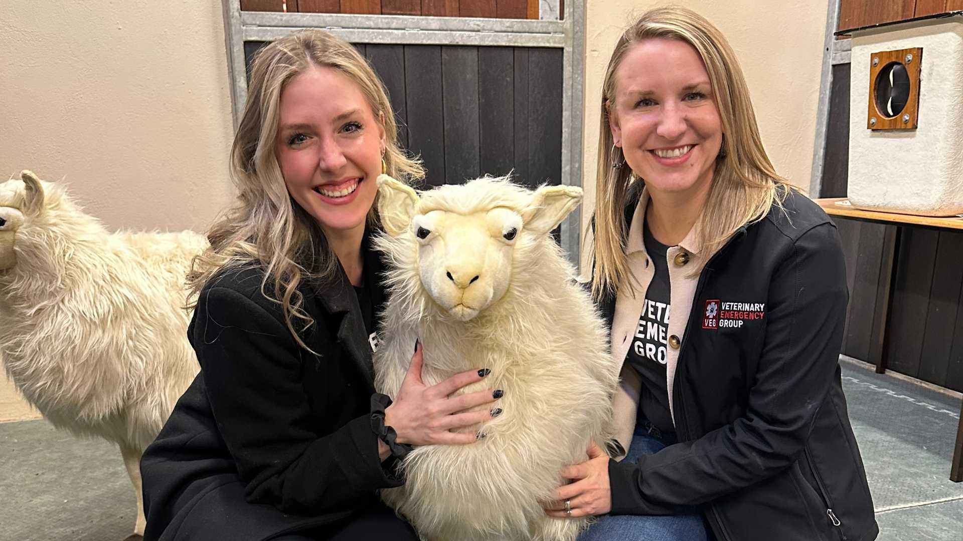 About Dr. Crocker Pet Vet | Vet In Fort Worth, TX 80206