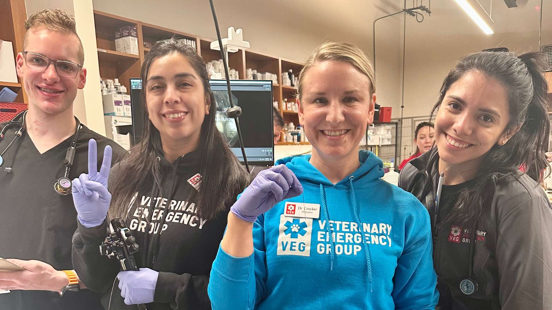 Dr. Crocker Pet Vet ER Veterinary Life