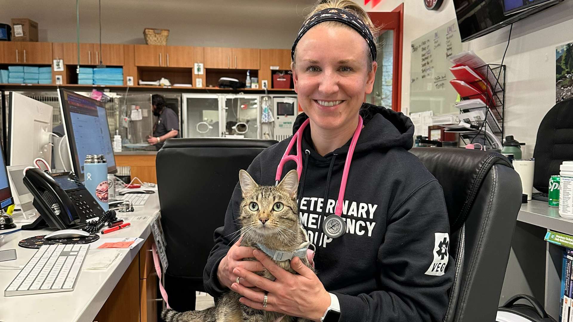 Consulting For Veterinary Care | Dr. Crocker Pet Vet