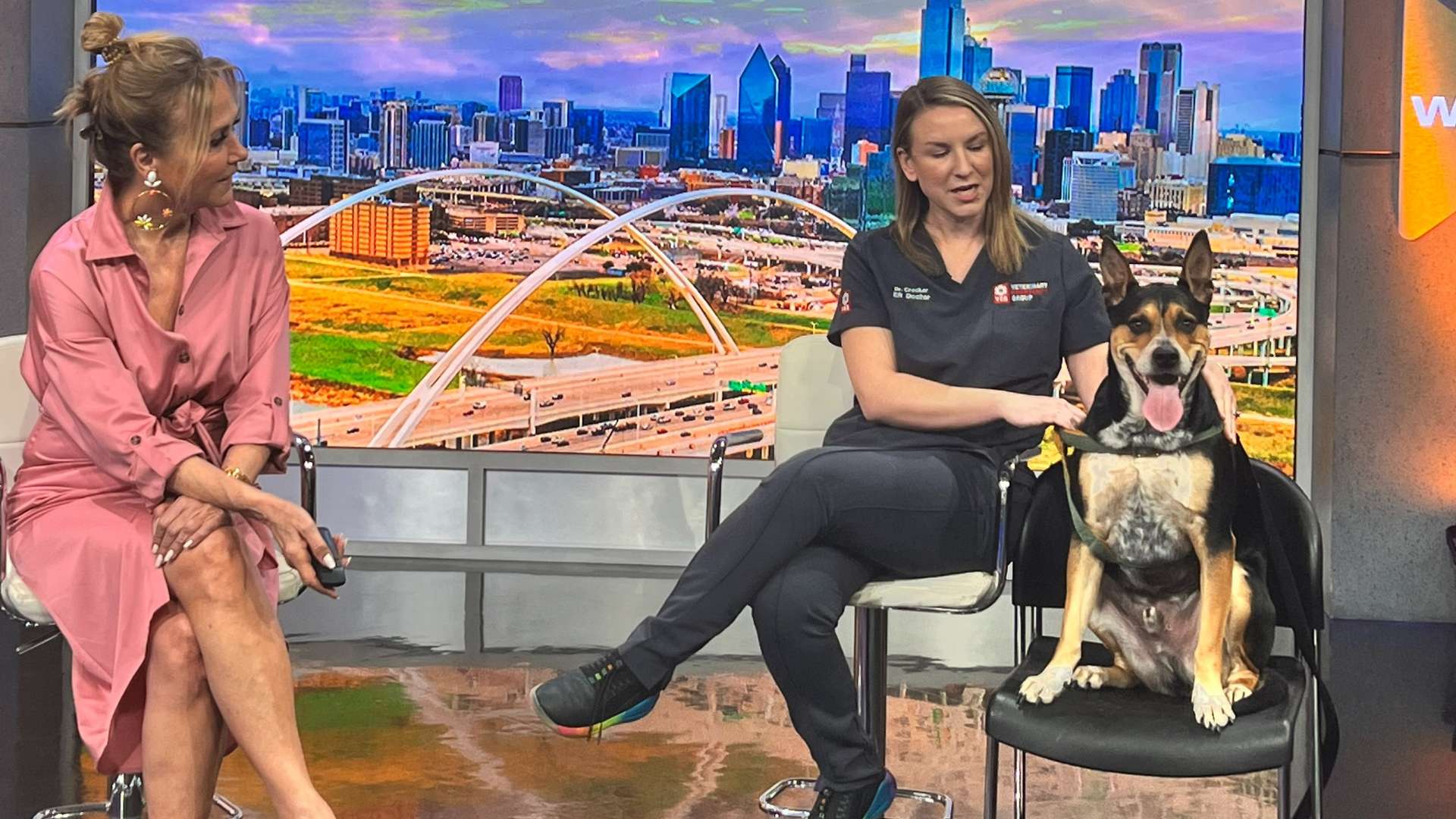 Educating For Veterinary Care | Dr. Crocker Pet Vet